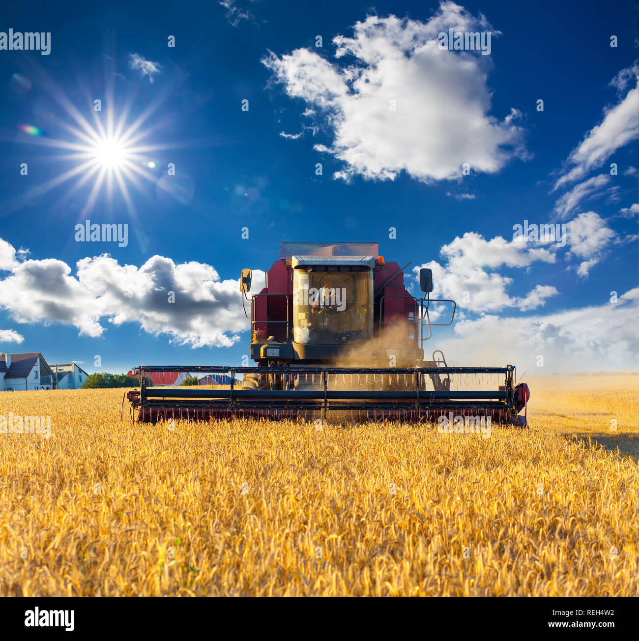 Front view grain harvester working hi-res stock photography and images ...