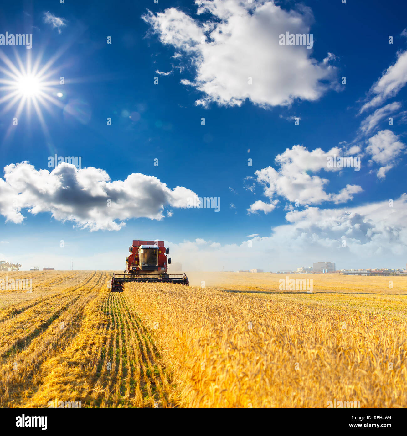Front view grain harvester working hi-res stock photography and images ...