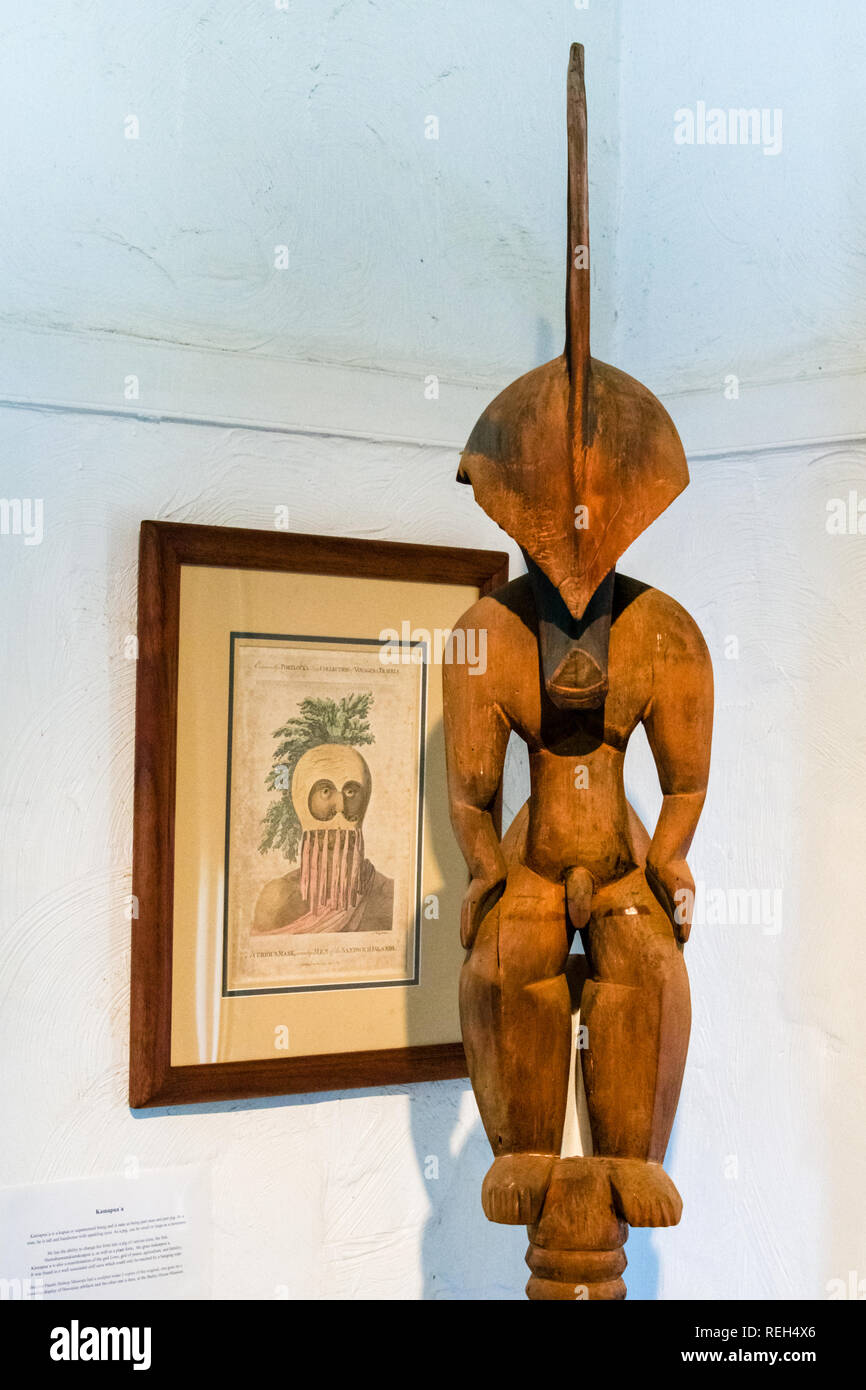 Kamapua’a hi-res stock photography and images - Alamy