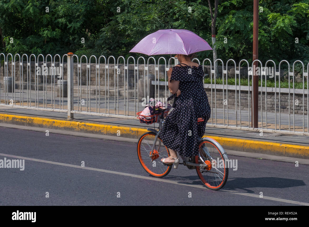 xian, china, august 2018, girl riding a bicycle with a purple umbrella ...