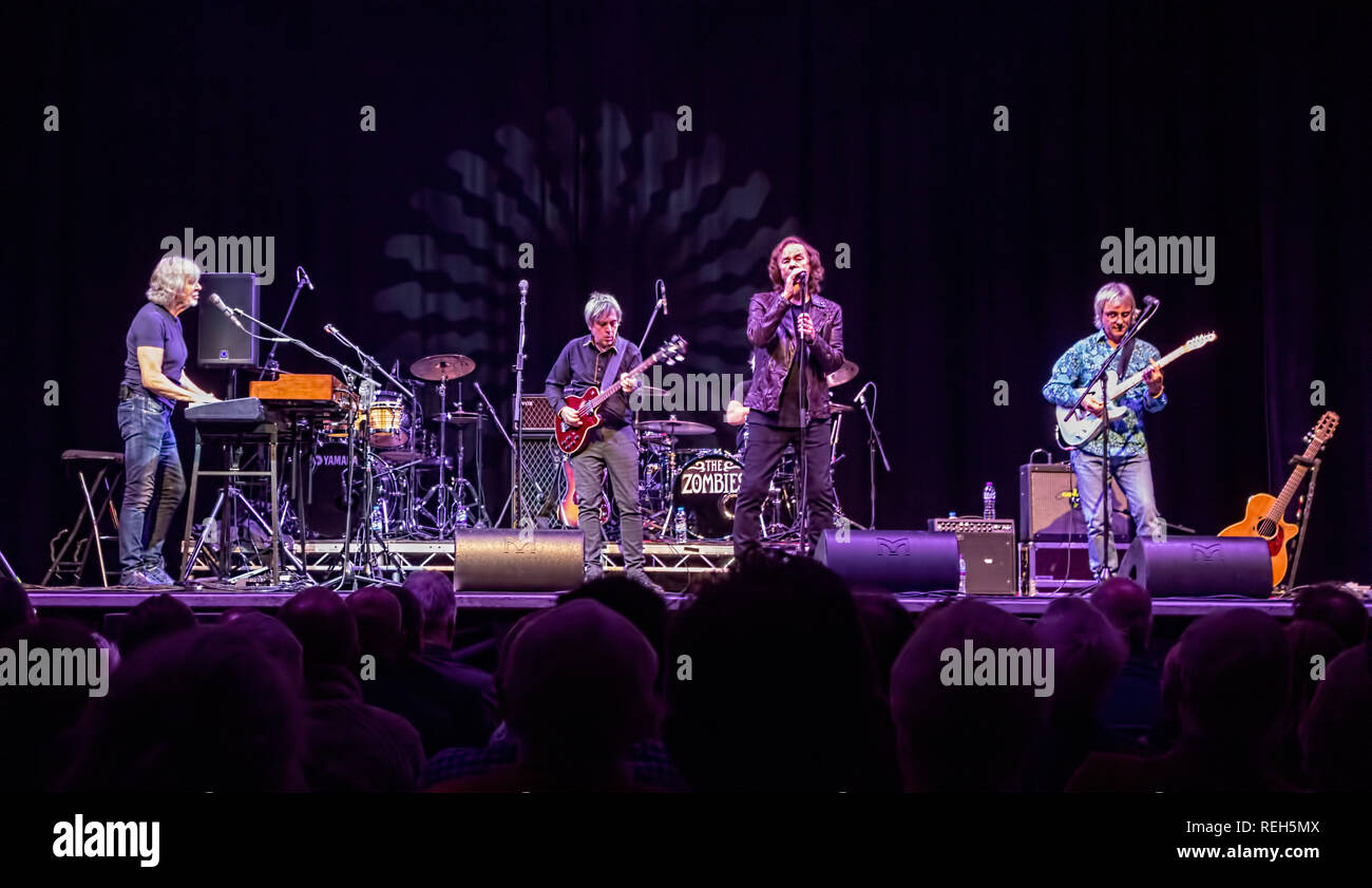 Zombies group hi-res stock photography and images - Alamy