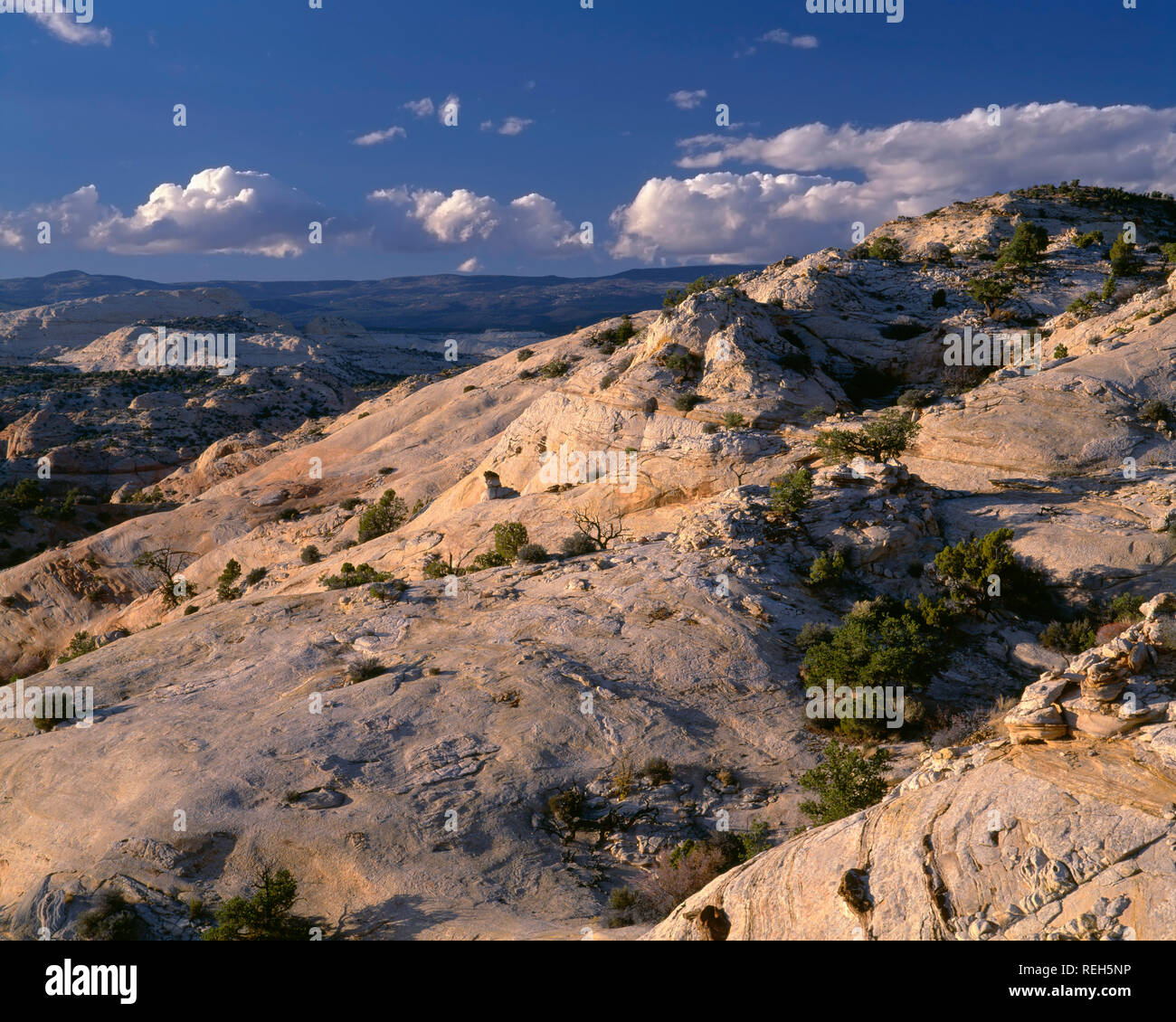 USA, Utah, Grand Staircase Escalante National Monument; Eroded Navajo ...