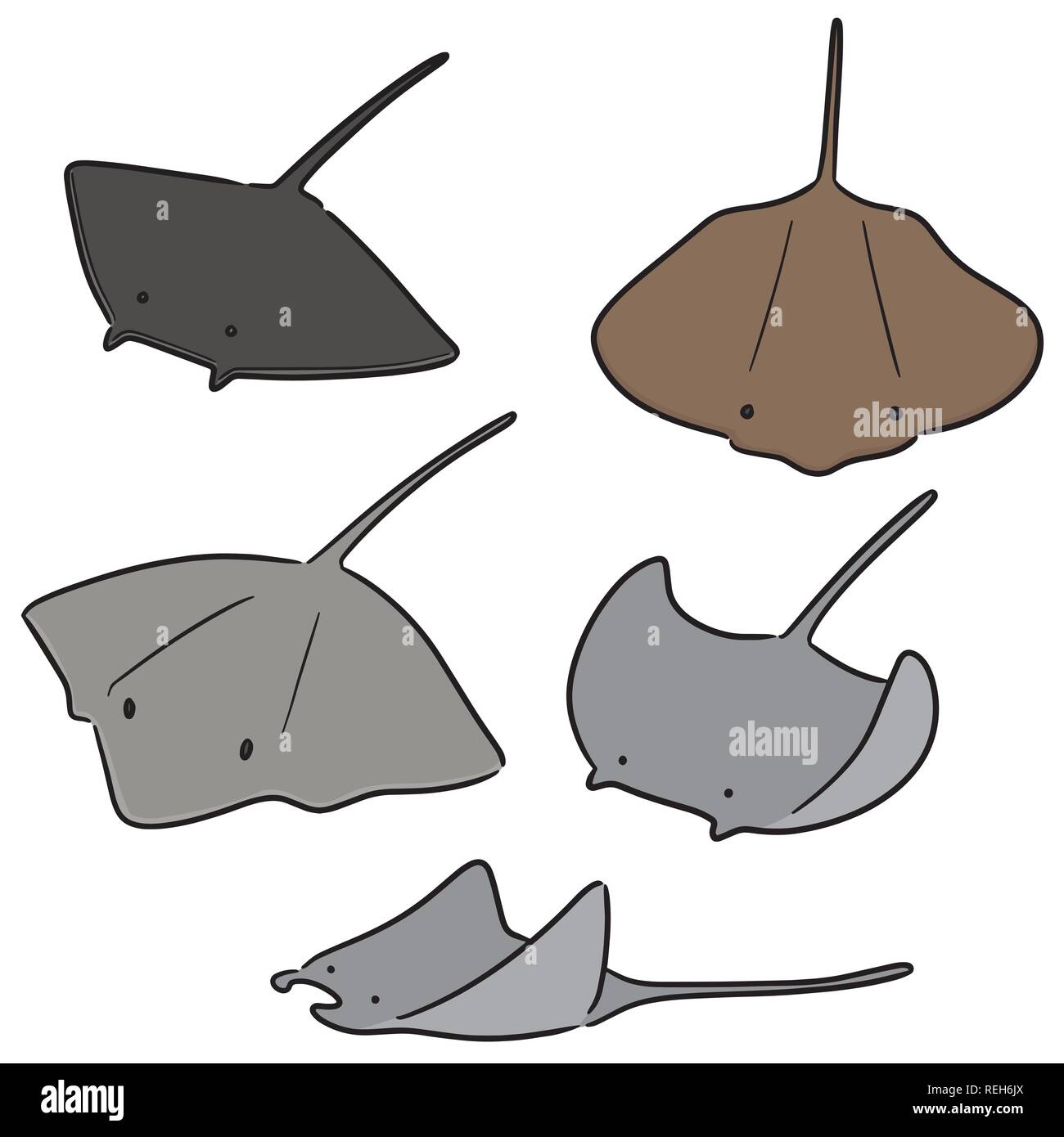 vector set of ray fish Stock Vector Image & Art - Alamy