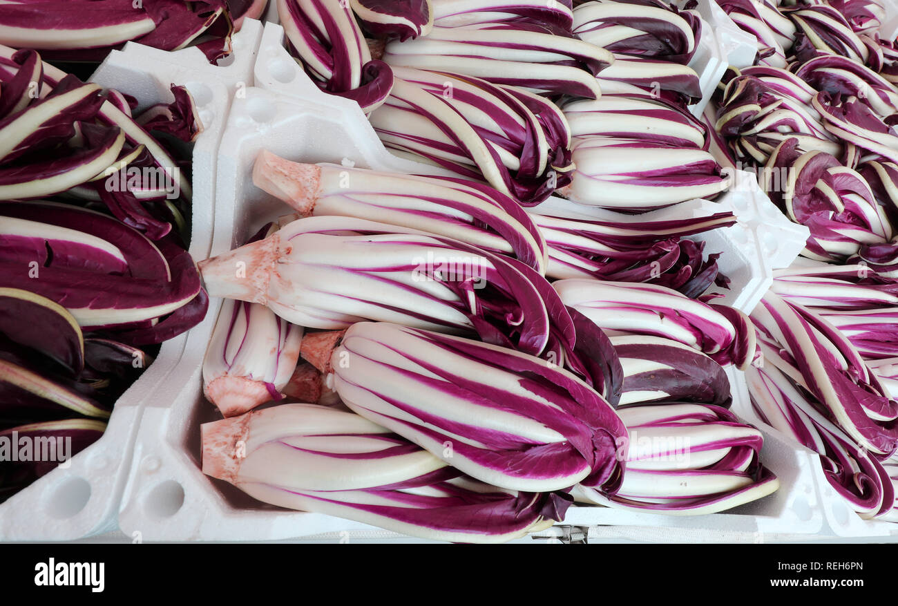 Radicchio grocery store hi-res stock photography and images - Alamy
