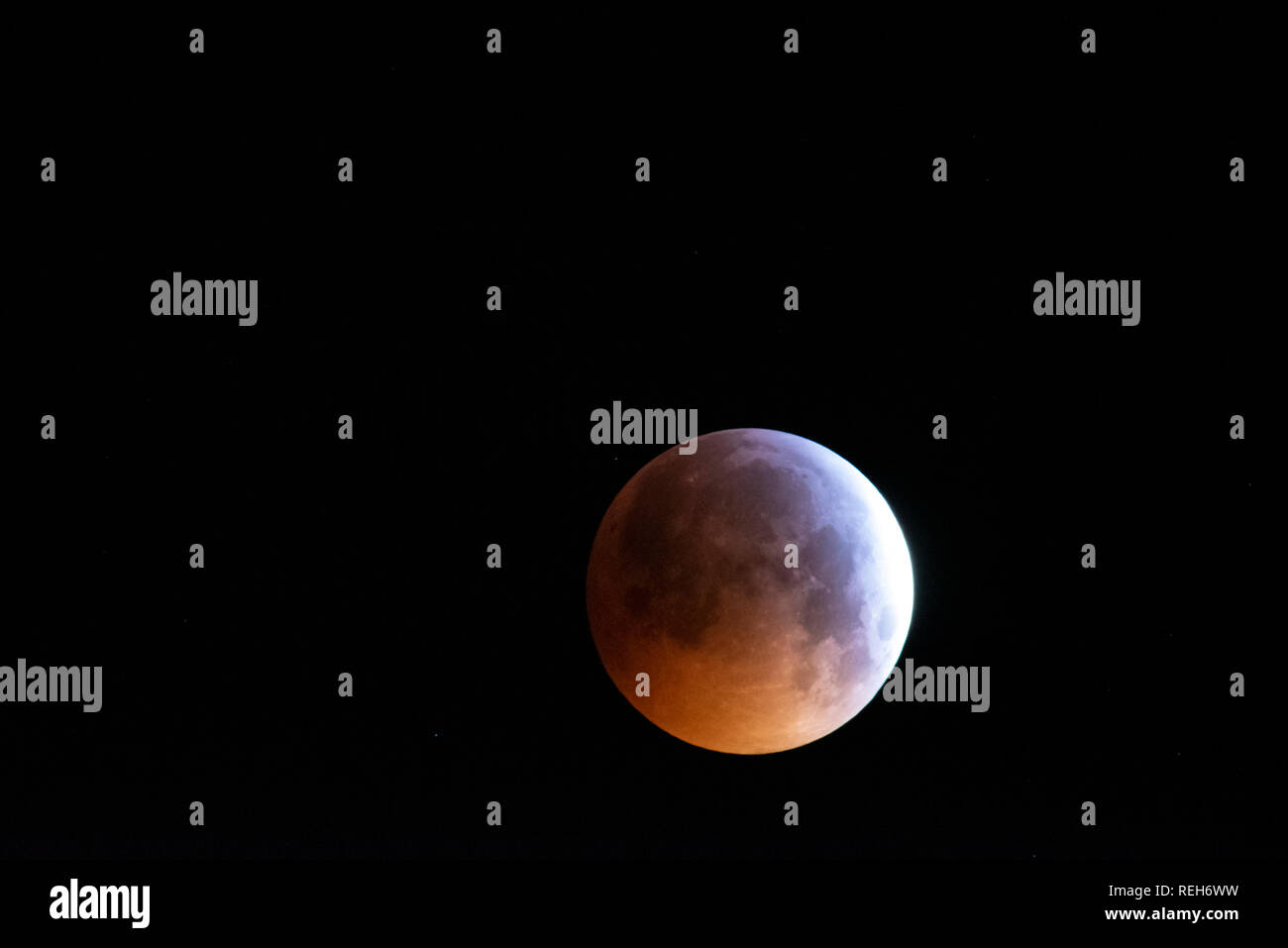Super Blood Wolf Moon on 21 January 2019. Lunar eclipse. Over Essex, UK ...