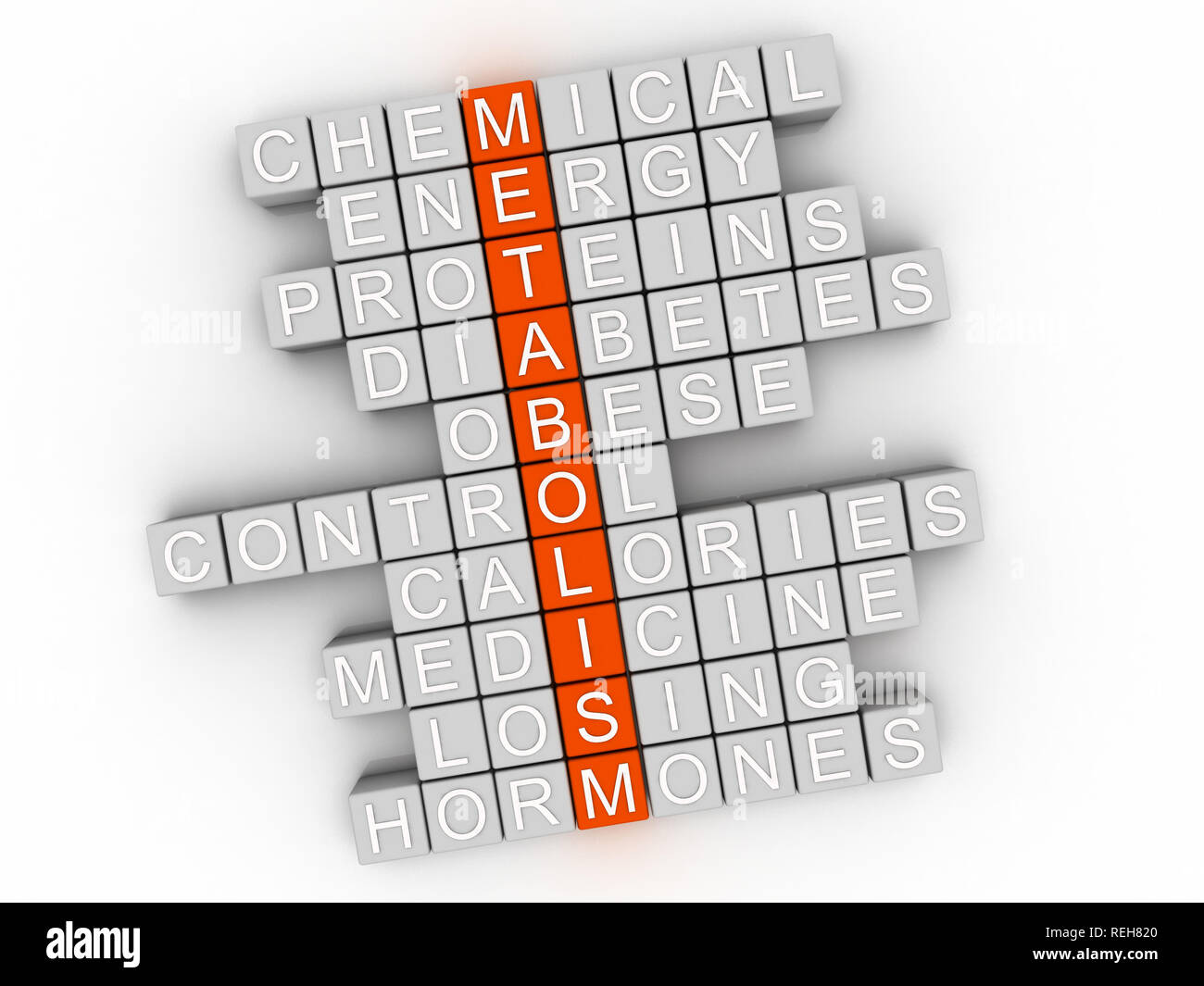 3d Metabolism word cloud concept - Illustration Stock Photo - Alamy