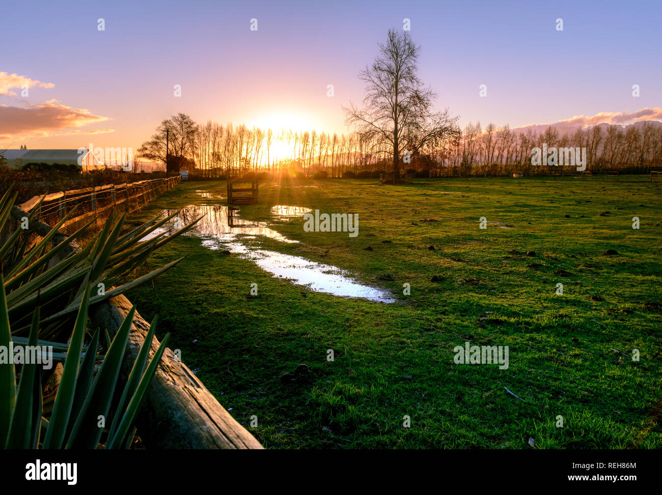 South African sun setting over a pasture. Western Cape, South Africa ...