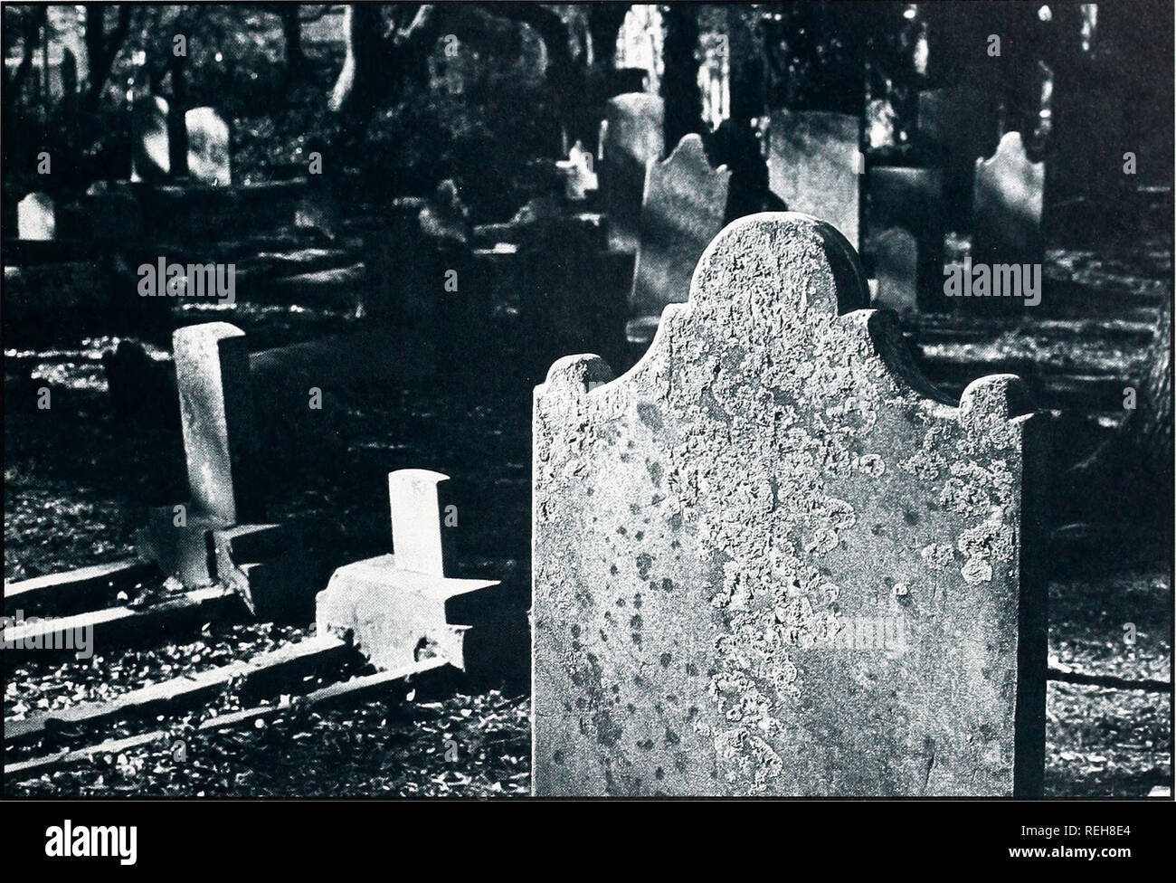 . Coast watch. Marine resources; Oceanography; Coastal zone management ...