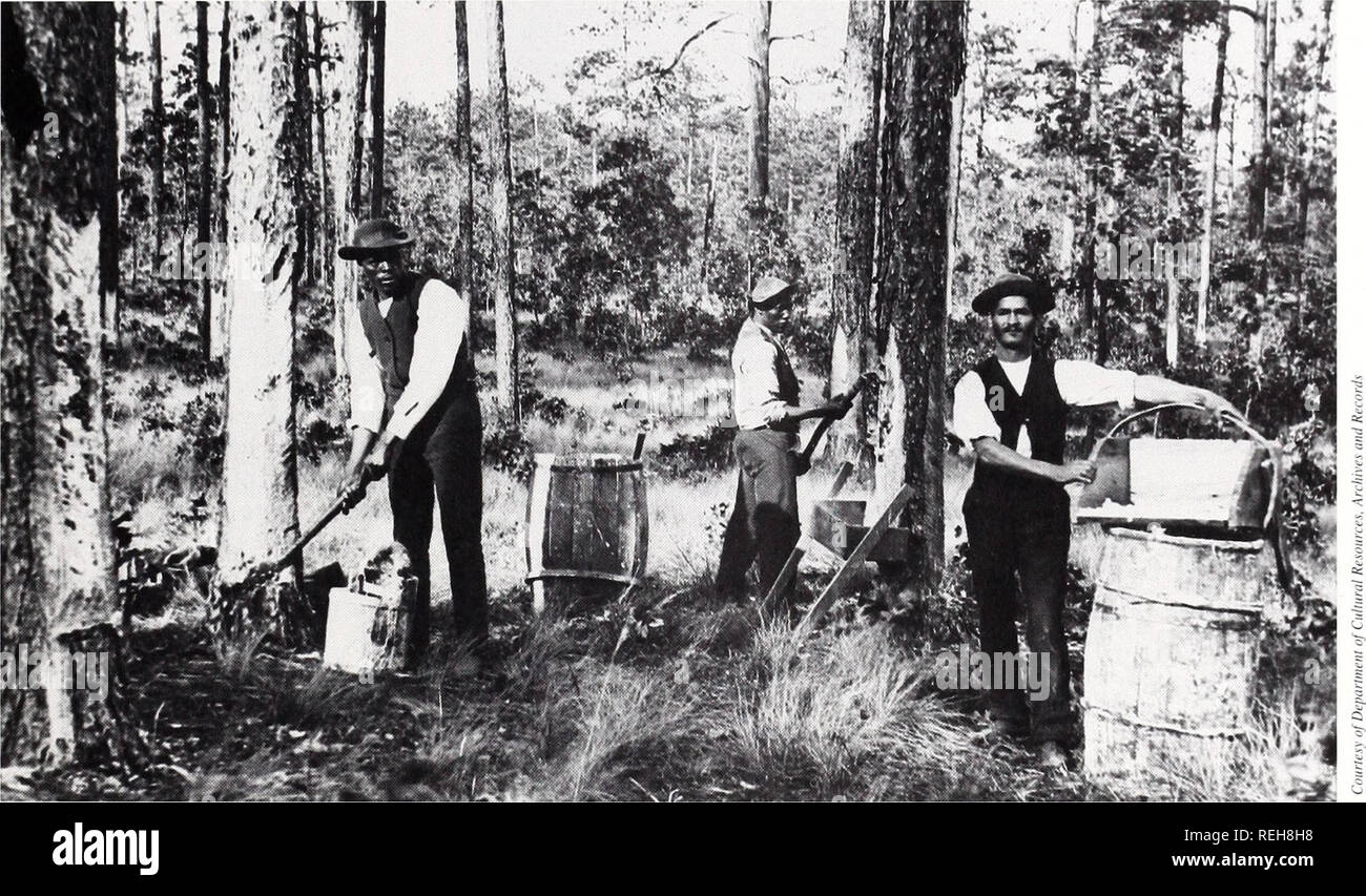 Pre civil war plantation hi-res stock photography and images - Alamy