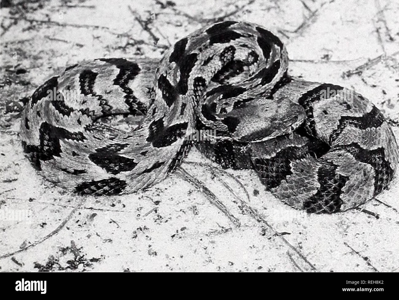 . Coast watch. Marine resources; Oceanography; Coastal zone management ...