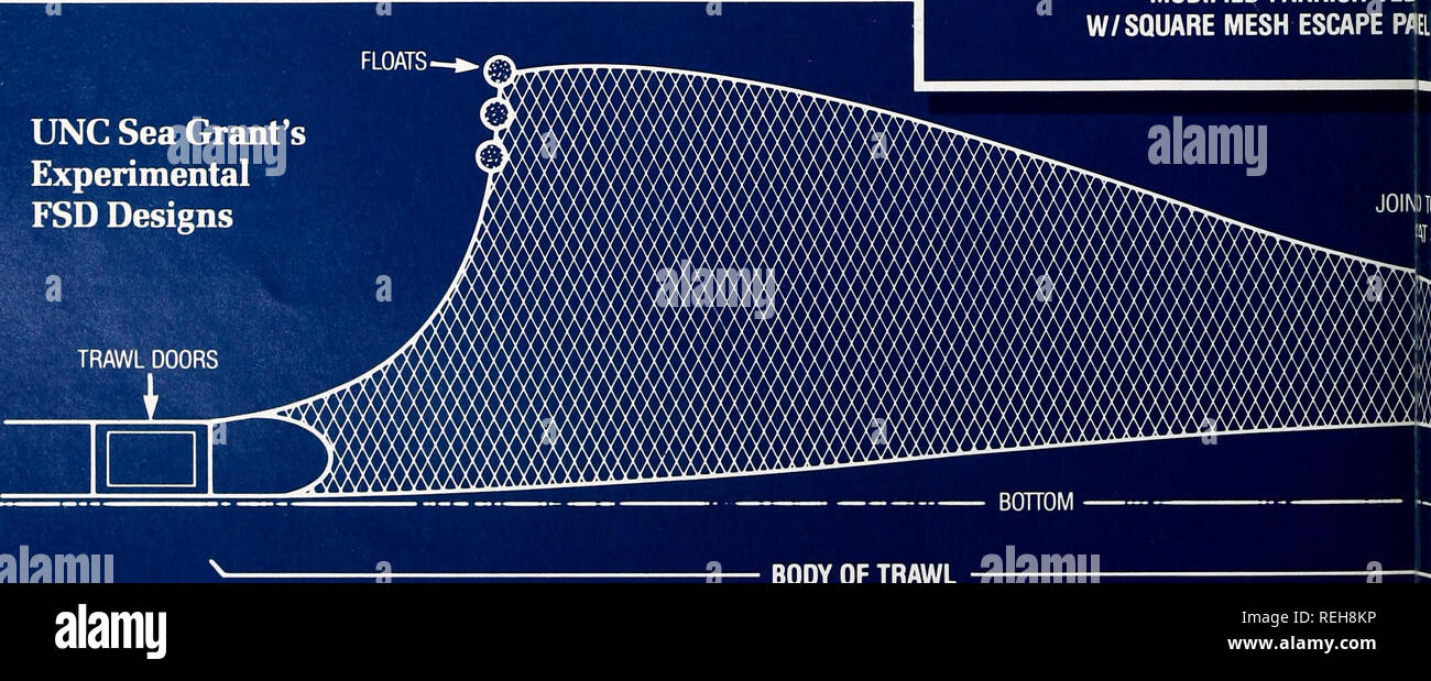 Turtle excluder devices hi-res stock photography and images - Alamy