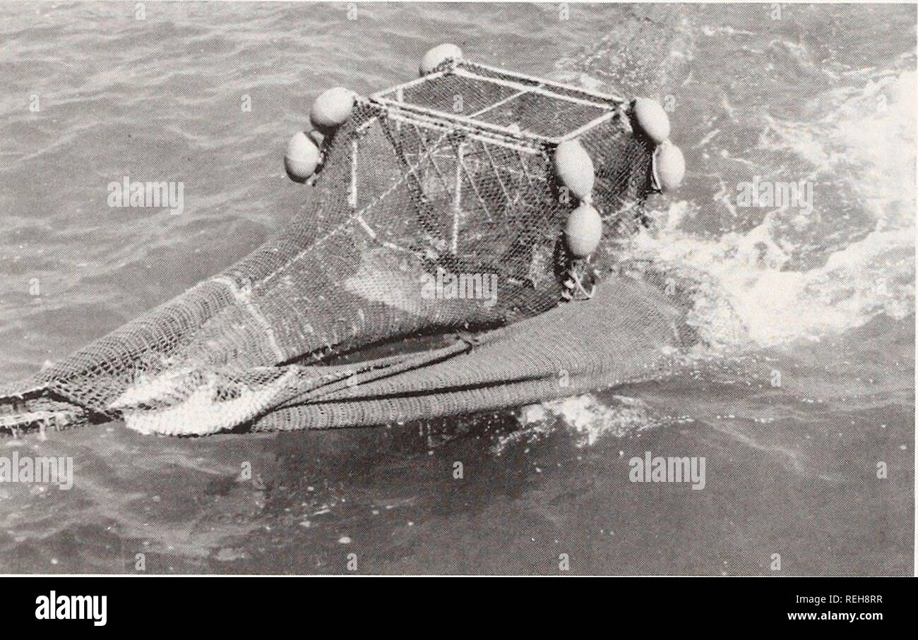 Sea turtle excluder device hi-res stock photography and images - Alamy