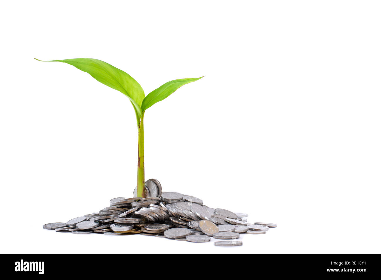 Income increase and prosperity Cut Out Stock Images & Pictures - Alamy