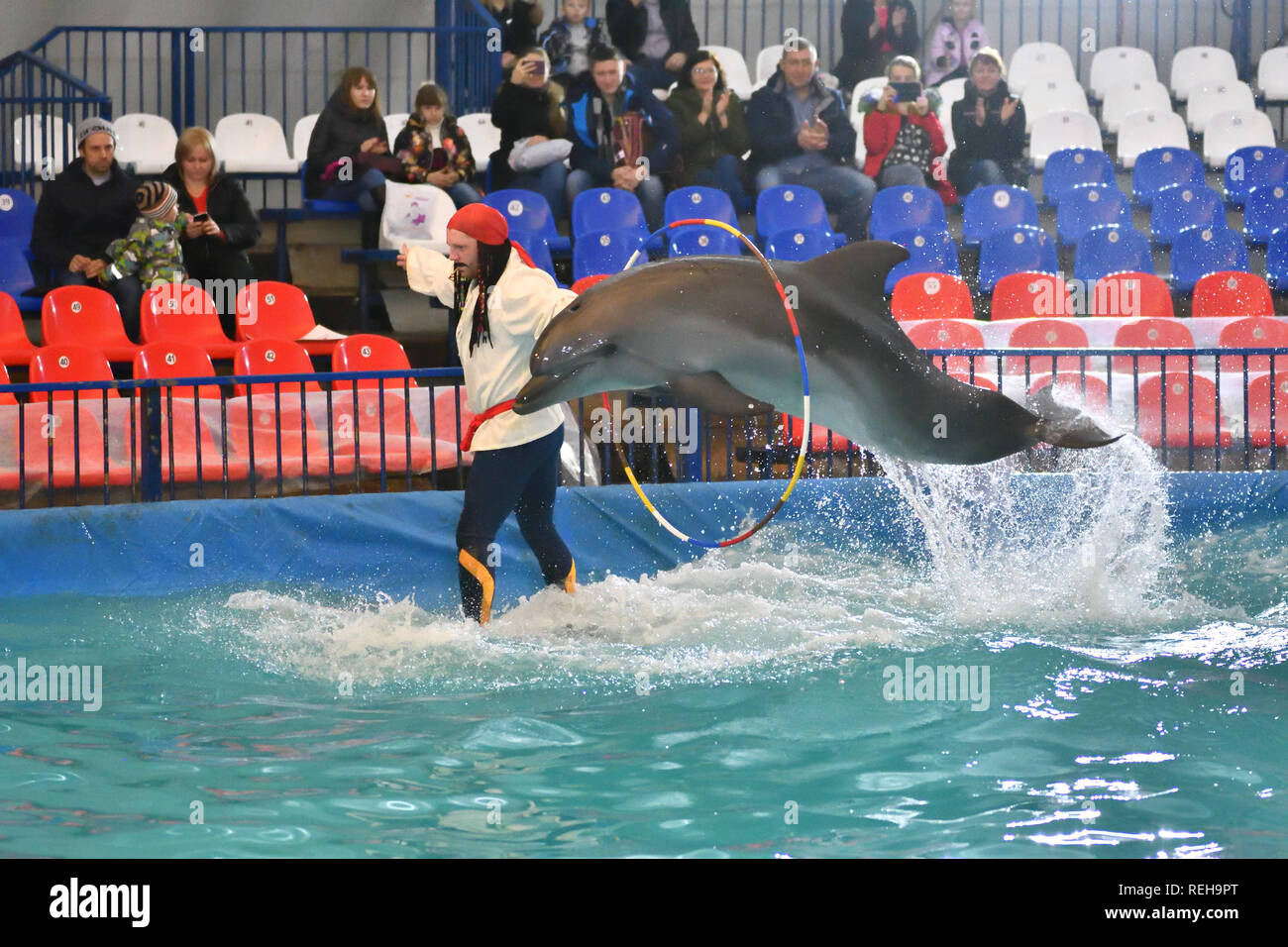 Dolphin jumping hoop hi-res stock photography and images - Alamy