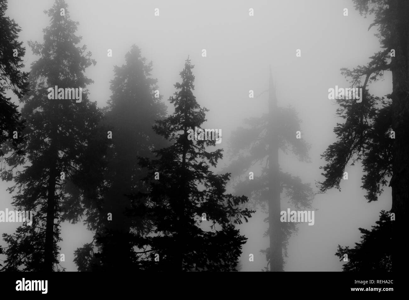 Mountains in North Pakistan Stock Photo - Alamy