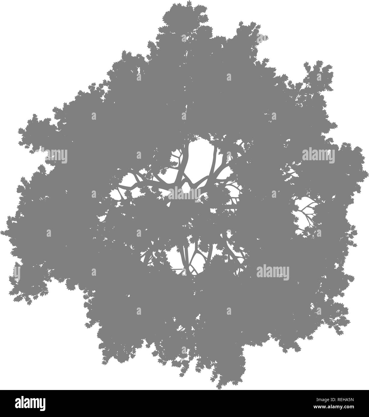 Tree top silhouette isolated - medium gray simple detailed - vector ...