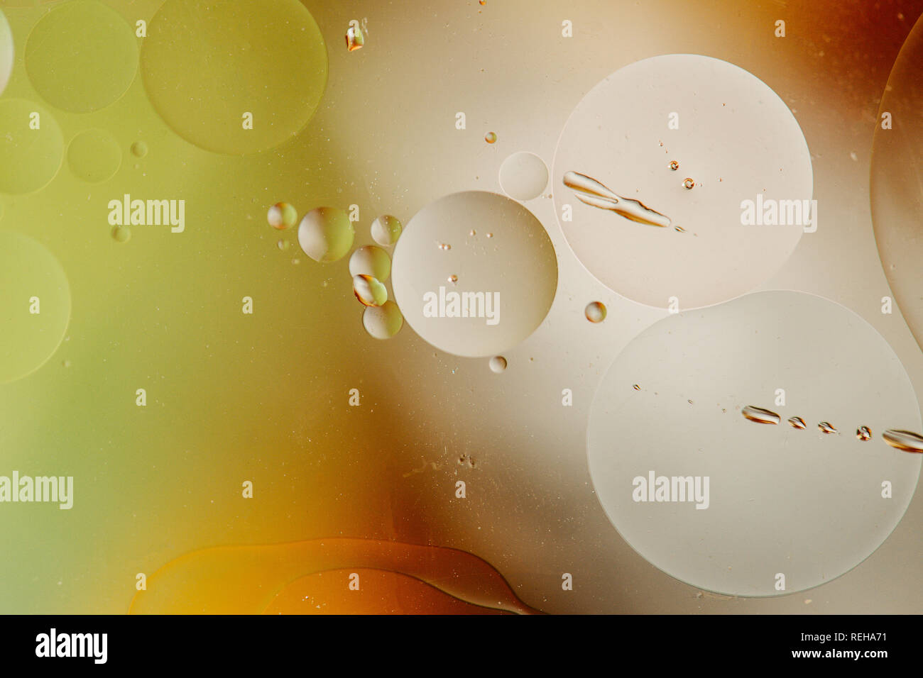 Macro shot of backlit water-oil emulsion over colored background. Tiny ...