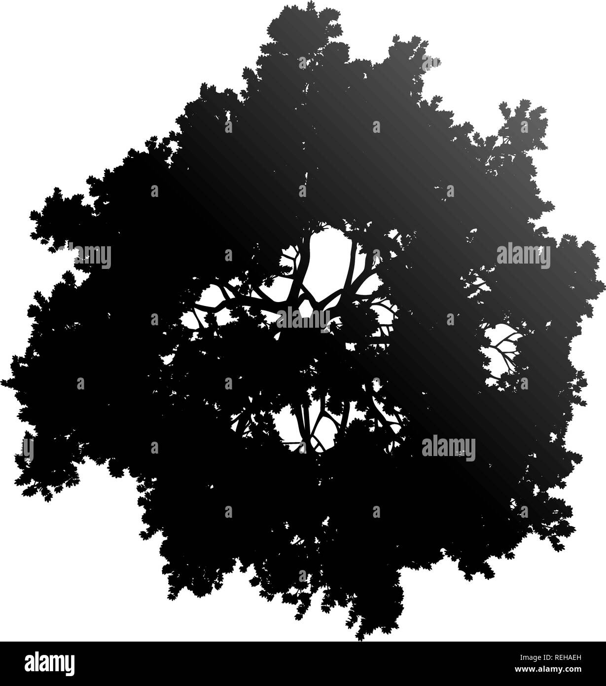 Tree top silhouette isolated - black gradient detailed - vector ...