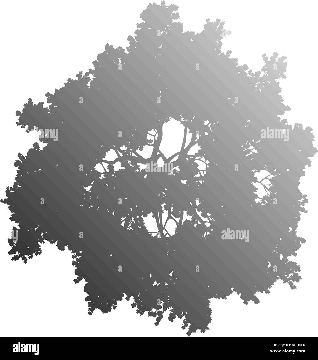 Tree top silhouette isolated - medium gray gradient detailed - vector ...