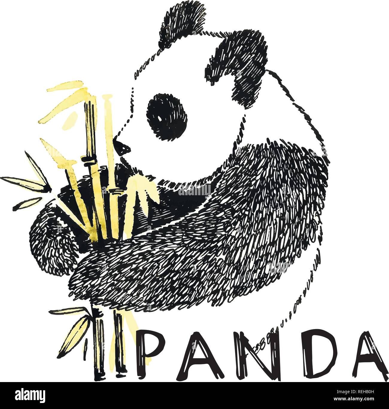 Hand drawn panda with bamboo. Vector illustration isolated on white ...