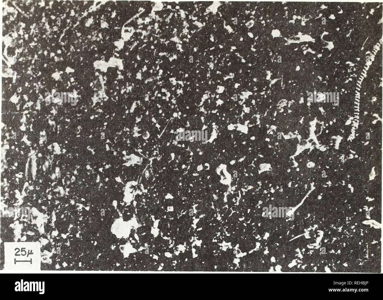 Meteorological data analysis hi-res stock photography and images - Alamy