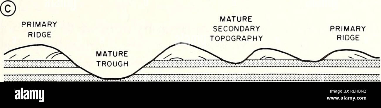 . Collected reprints / Atlantic Oceanographic and Meteorological ...