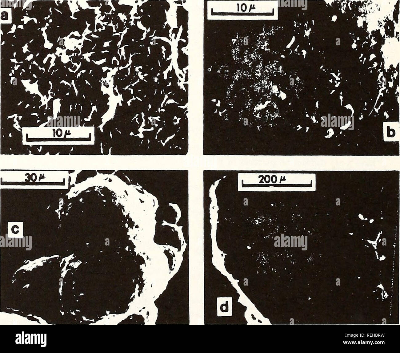 Hydrogenous hi-res stock photography and images - Alamy