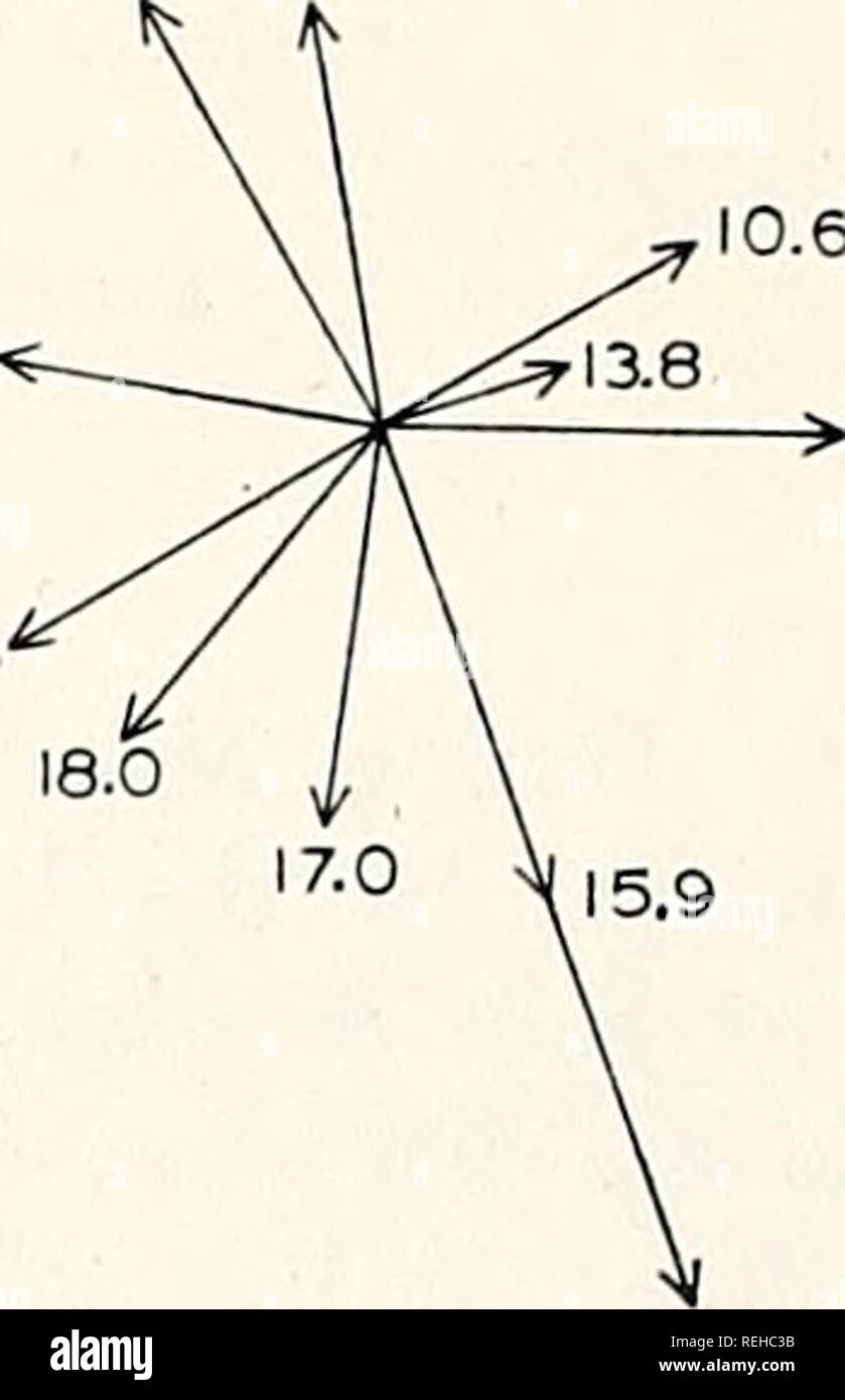 Kullenberg hi-res stock photography and images - Alamy