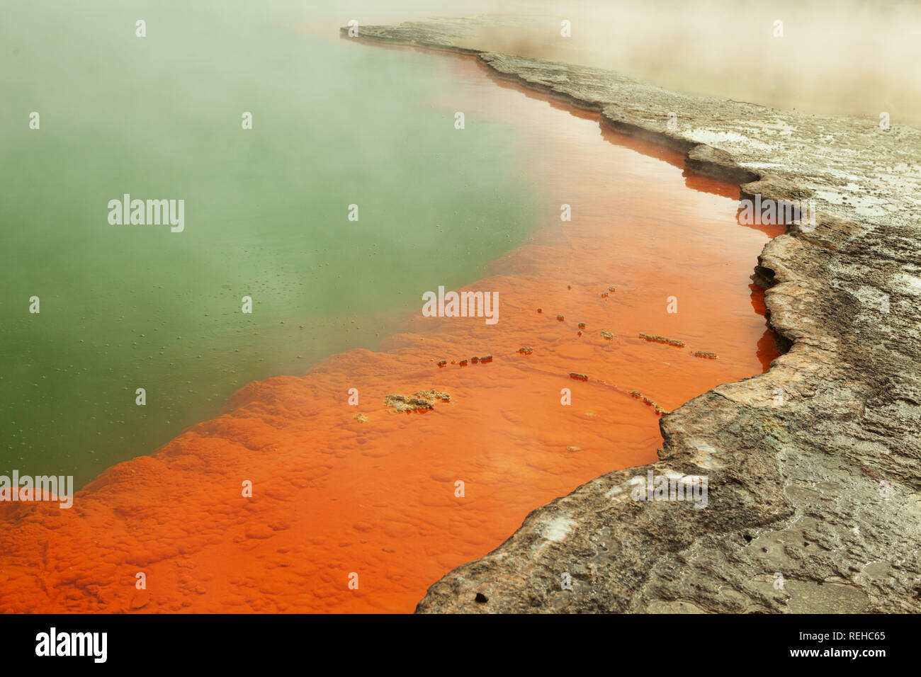Champagne Pool with a beautiful petrified edge. Champagne Pool is a ...