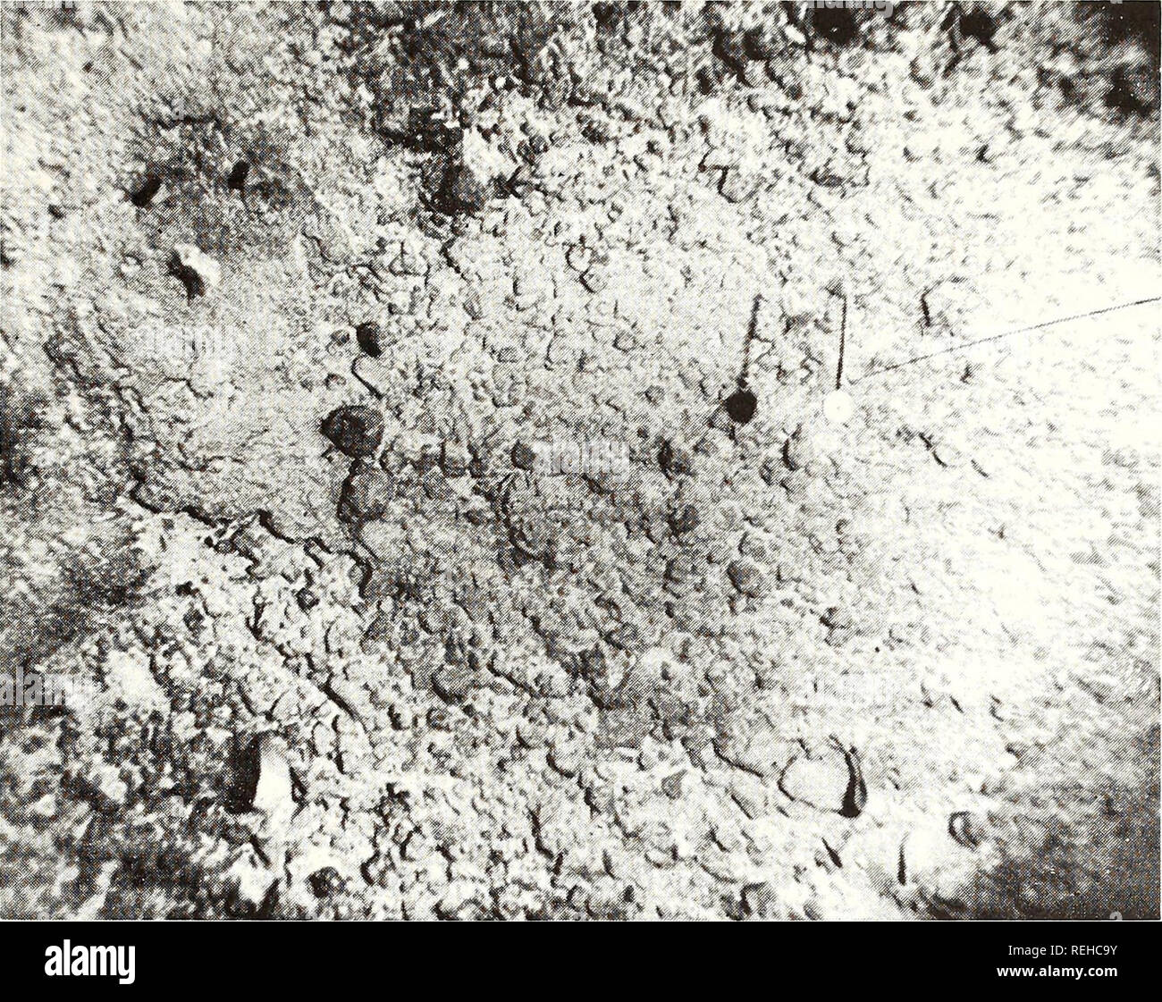 Hydrothermal breccia hi-res stock photography and images - Alamy