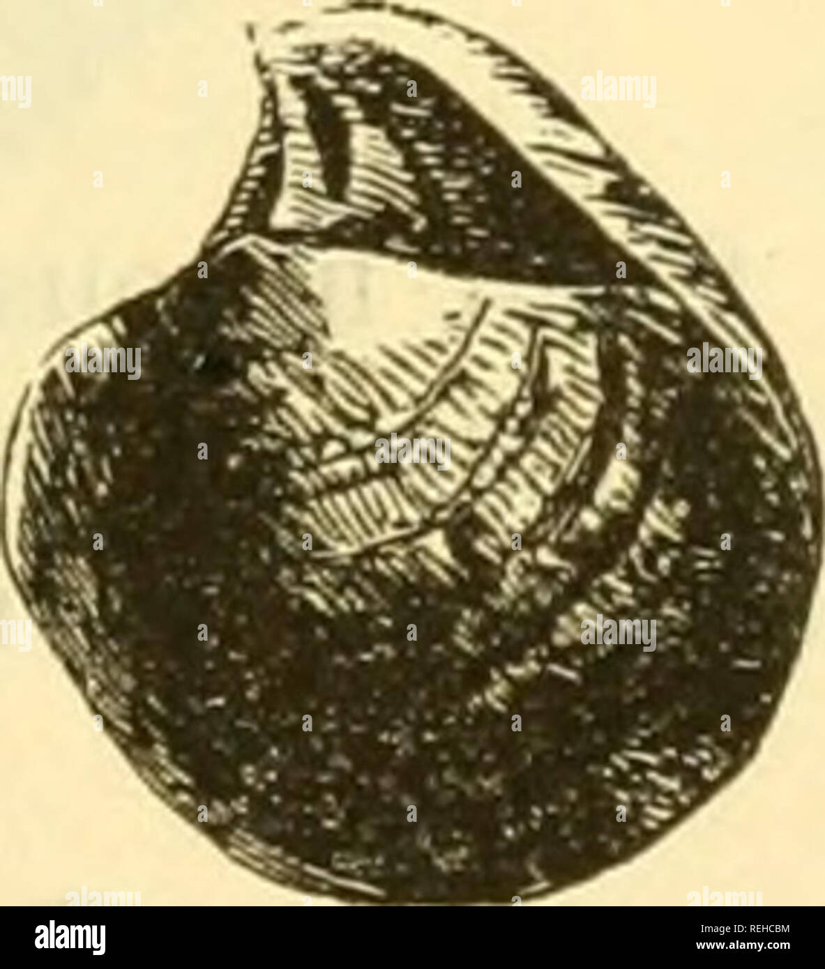 Lower greensand group hi-res stock photography and images - Alamy