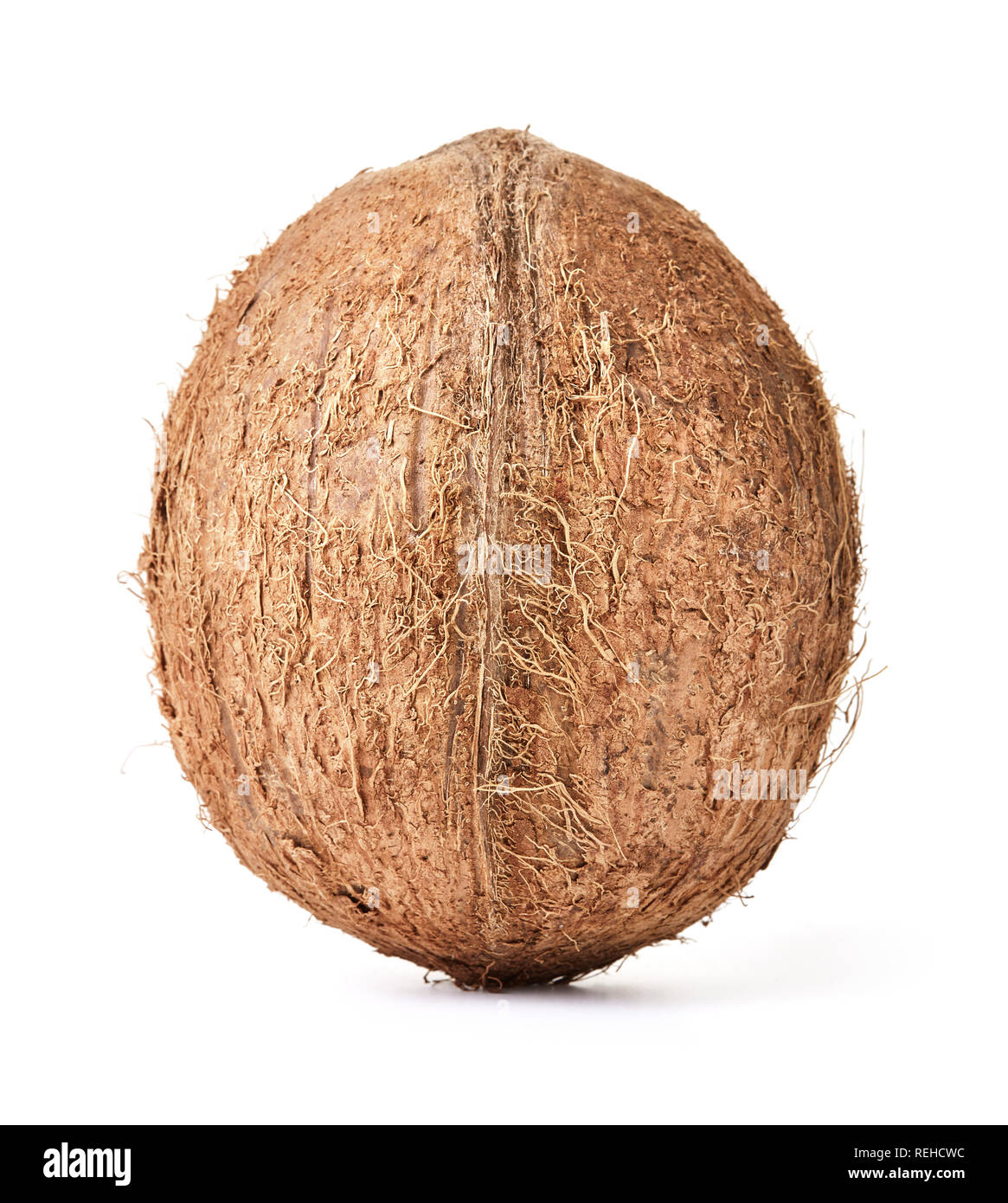 Hairy coconut hi-res stock photography and images - Alamy
