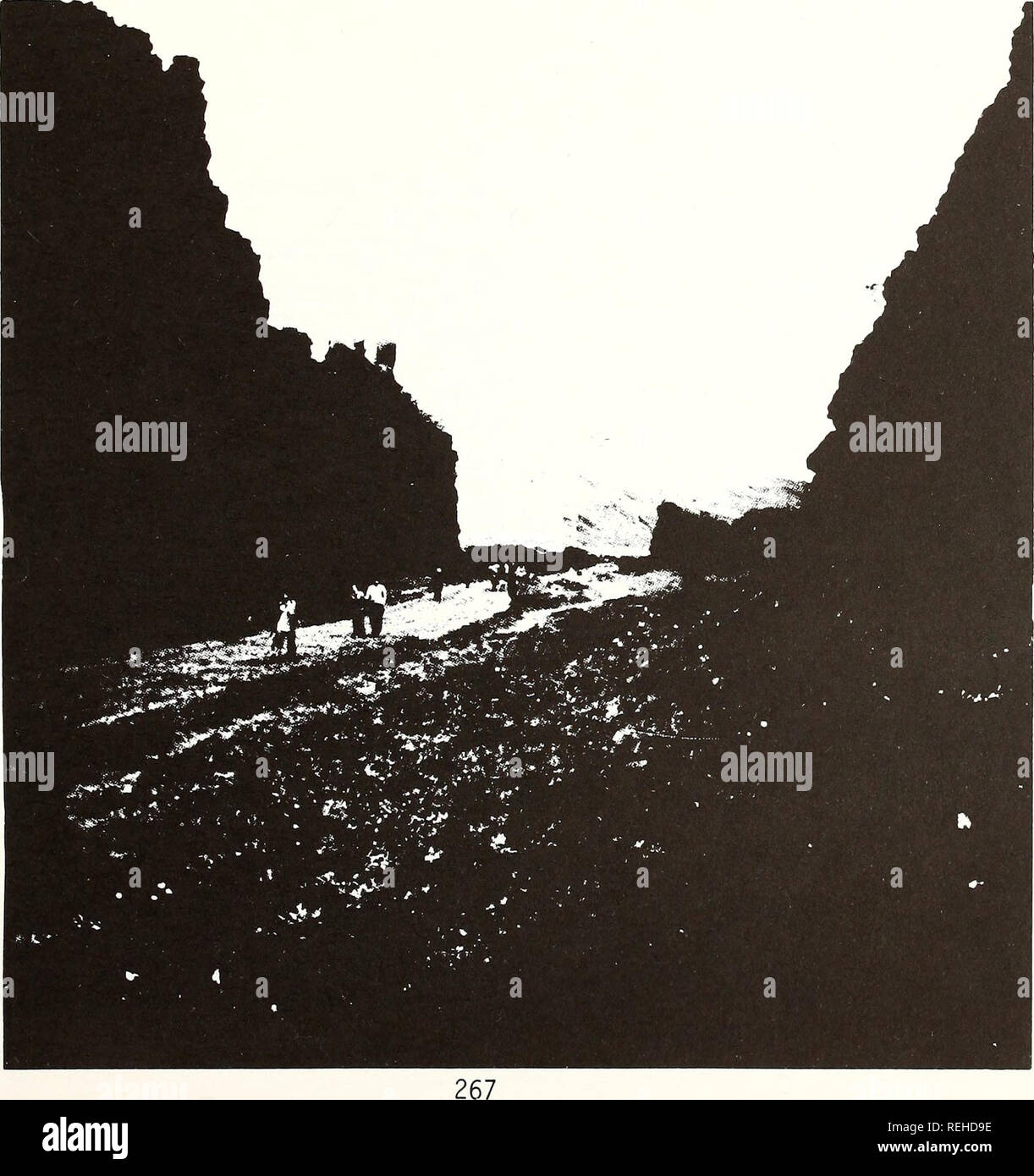 Mid florida ridge hi-res stock photography and images - Alamy