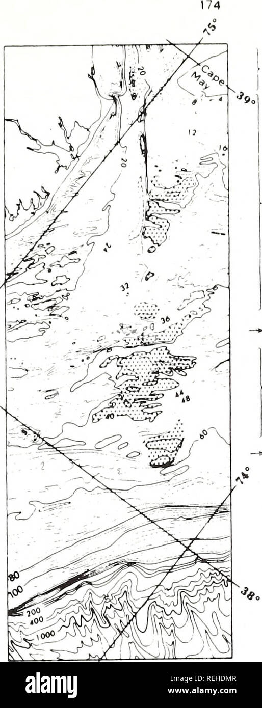 Arcuate Delta Diagram