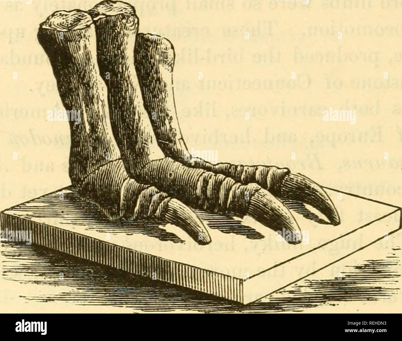 Serrated ridges hi-res stock photography and images - Alamy