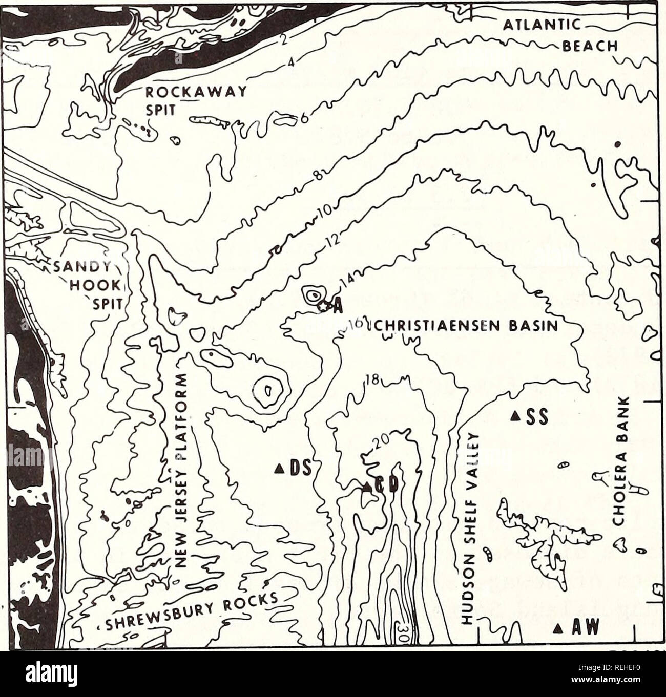Topographic Profile Atlantic Ocean
