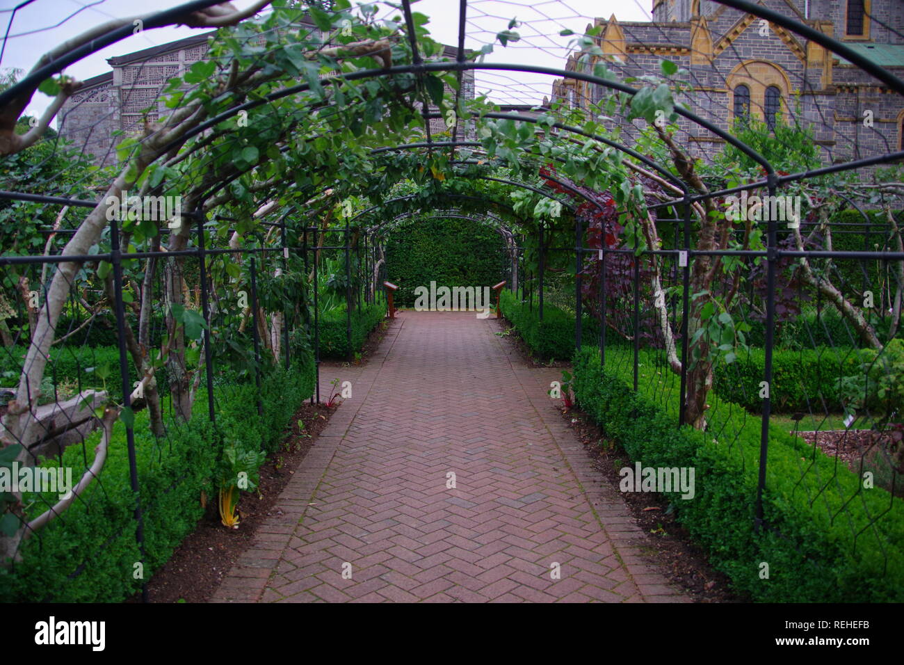 Garden Trellis Walkway at Buckfast Abbey, Dartmoor National Park, Devon ...