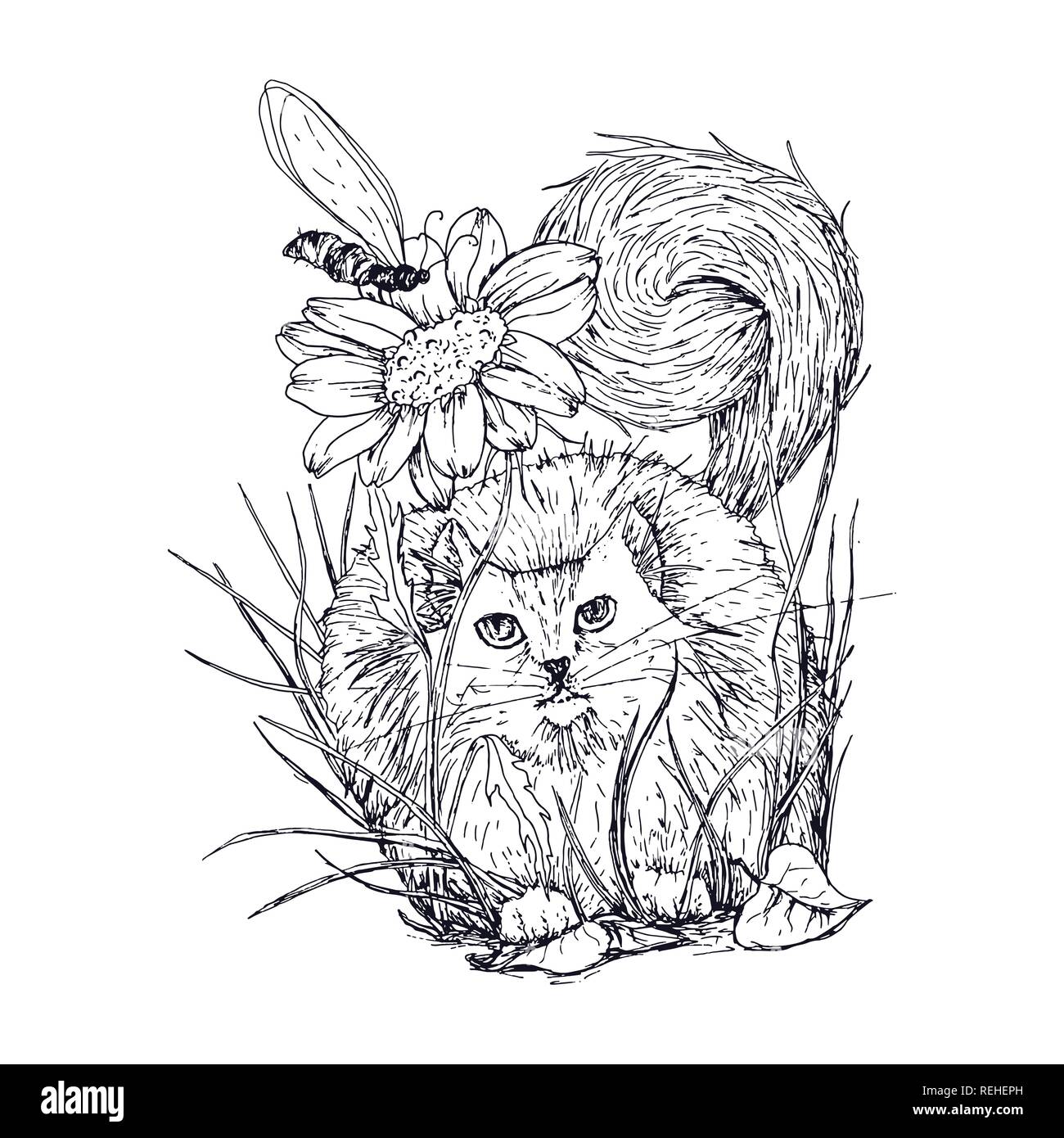 Grass outline illustration hi-res stock photography and images - Alamy