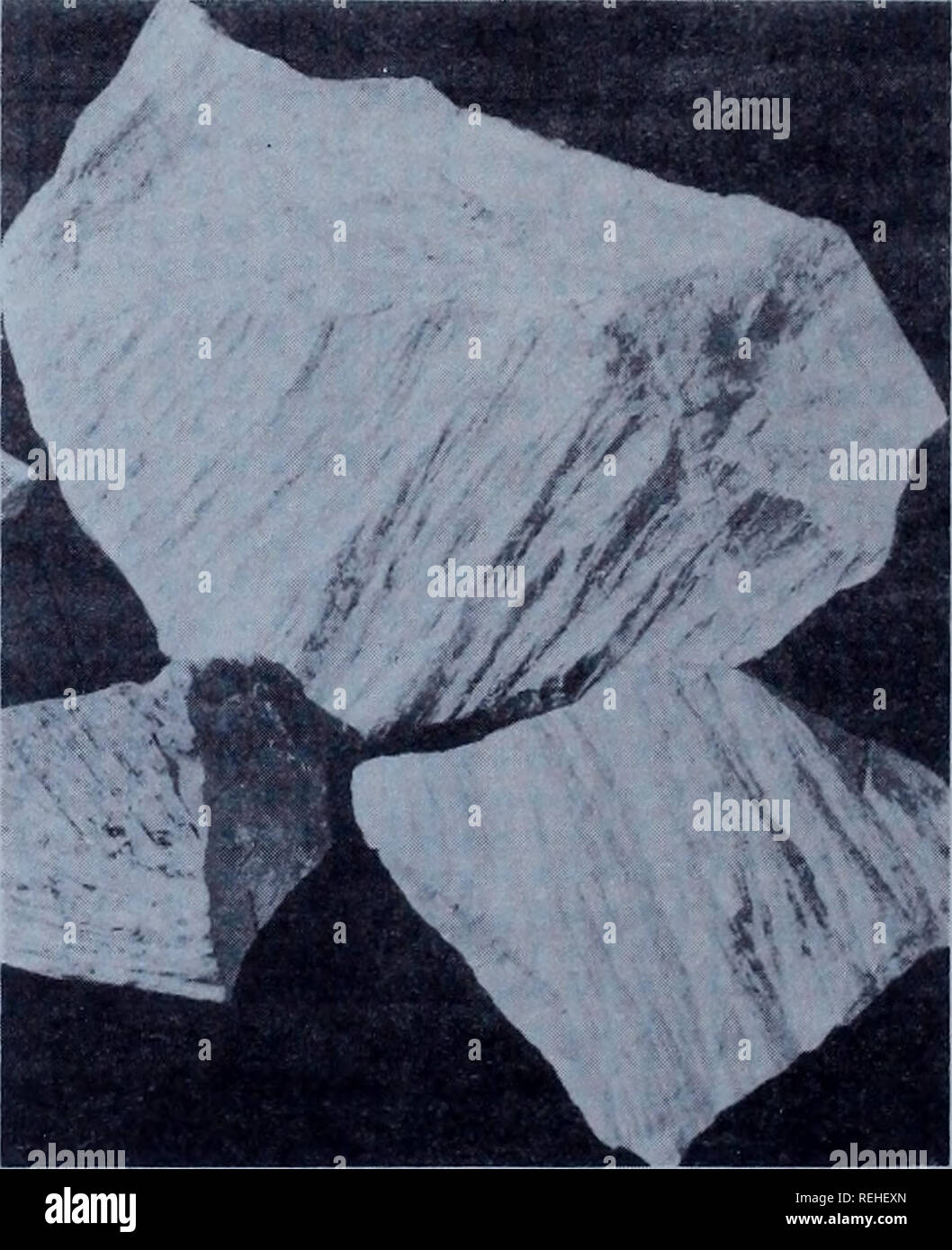 Shatter cone structure hi-res stock photography and images - Alamy