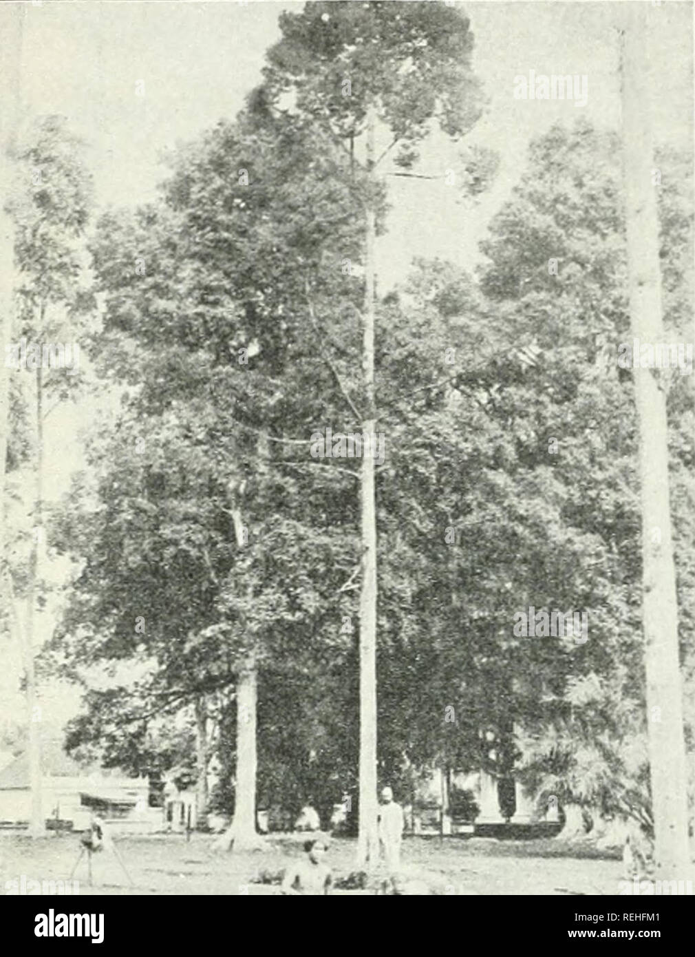 Hij font hi-res stock photography and images - Alamy