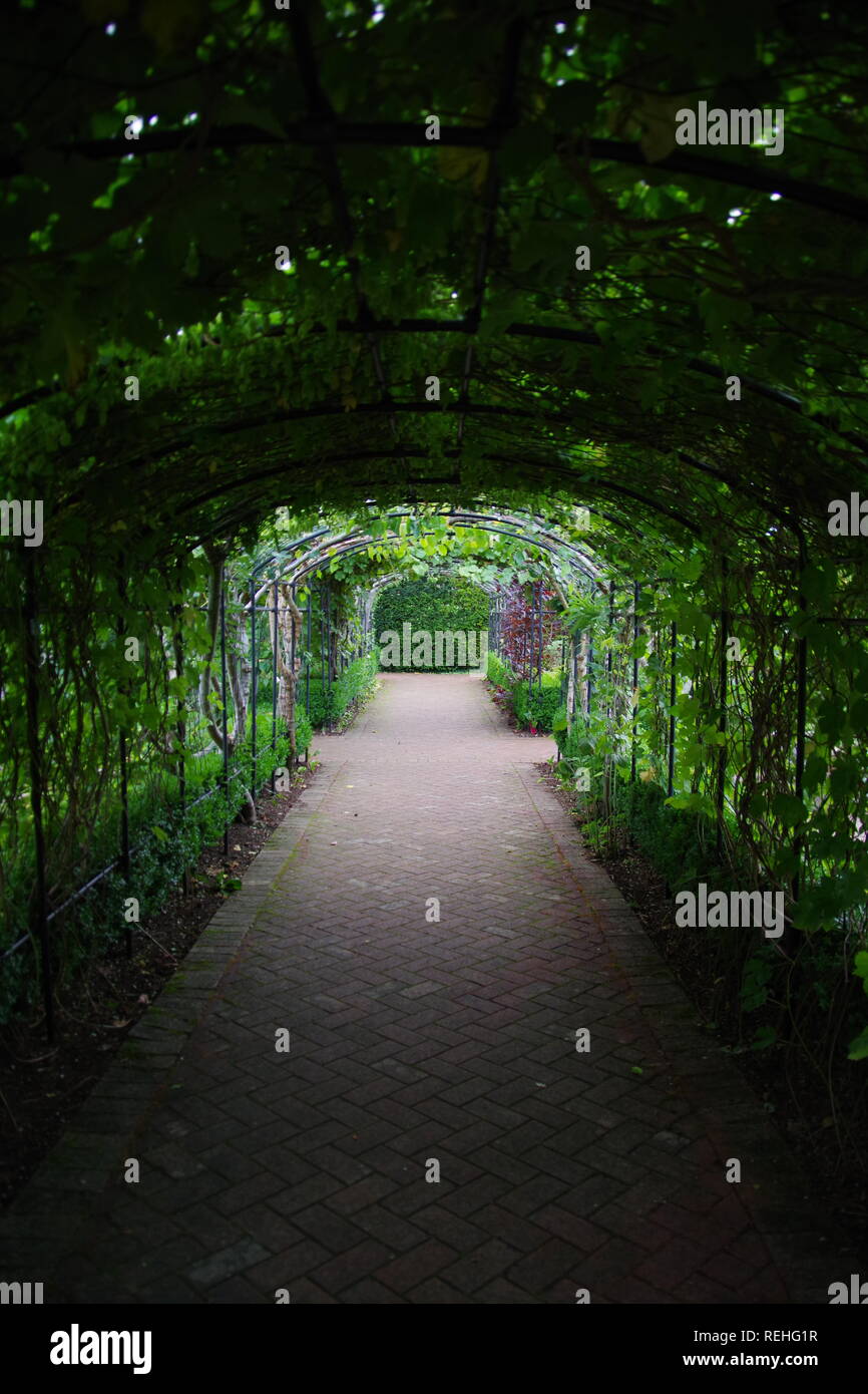 Garden Trellis Walkway at Buckfast Abbey, Dartmoor National Park, Devon ...