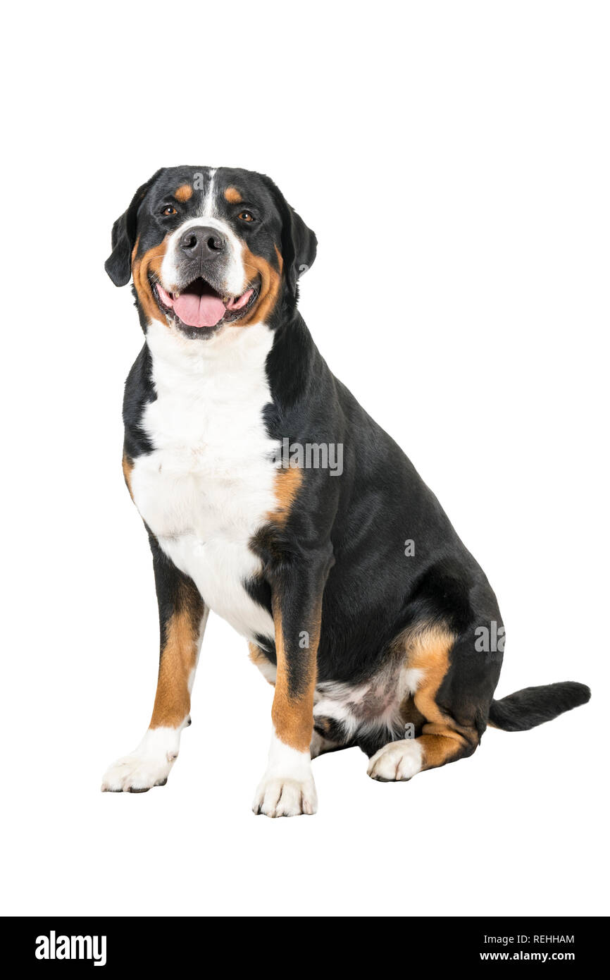 Side ways shot Cut Out Stock Images & Pictures - Alamy