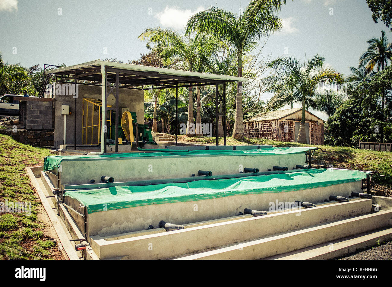 Plantage High Resolution Stock Photography and Images - Alamy