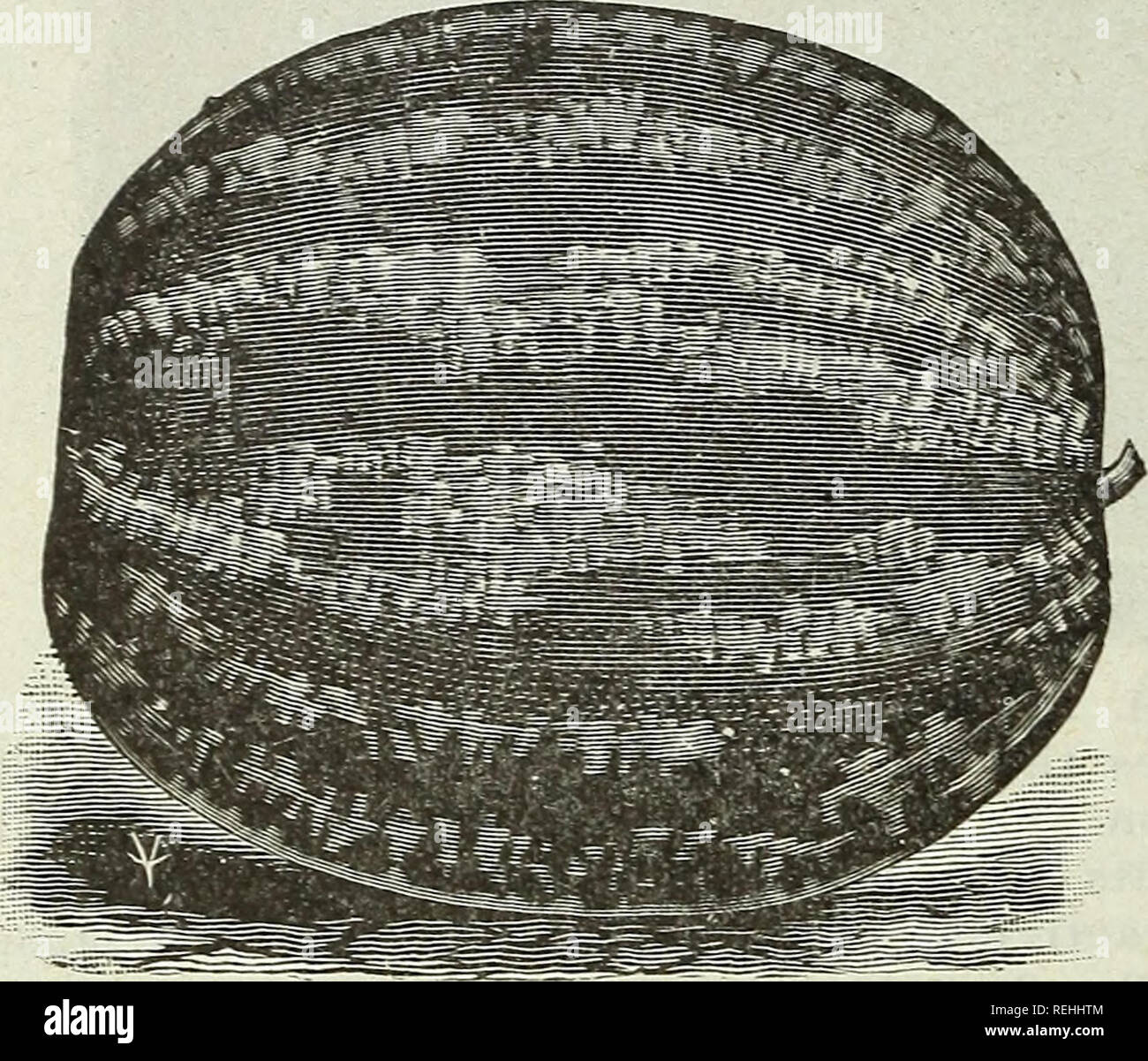 Melon eau hi-res stock photography and images - Alamy