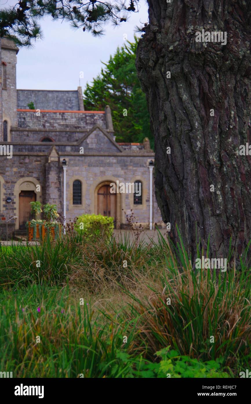 Old Grey Stone Building beyond Scots Pine Tree Trunk. Buckfast Abbey ...