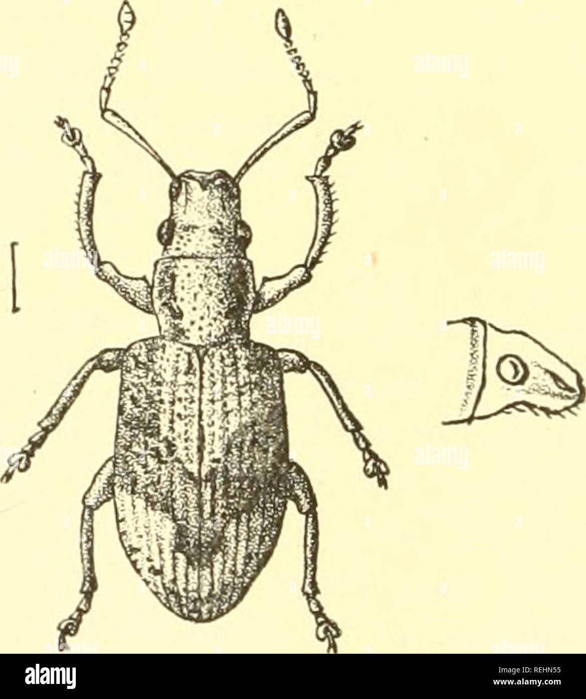 Funicle hi-res stock photography and images - Alamy