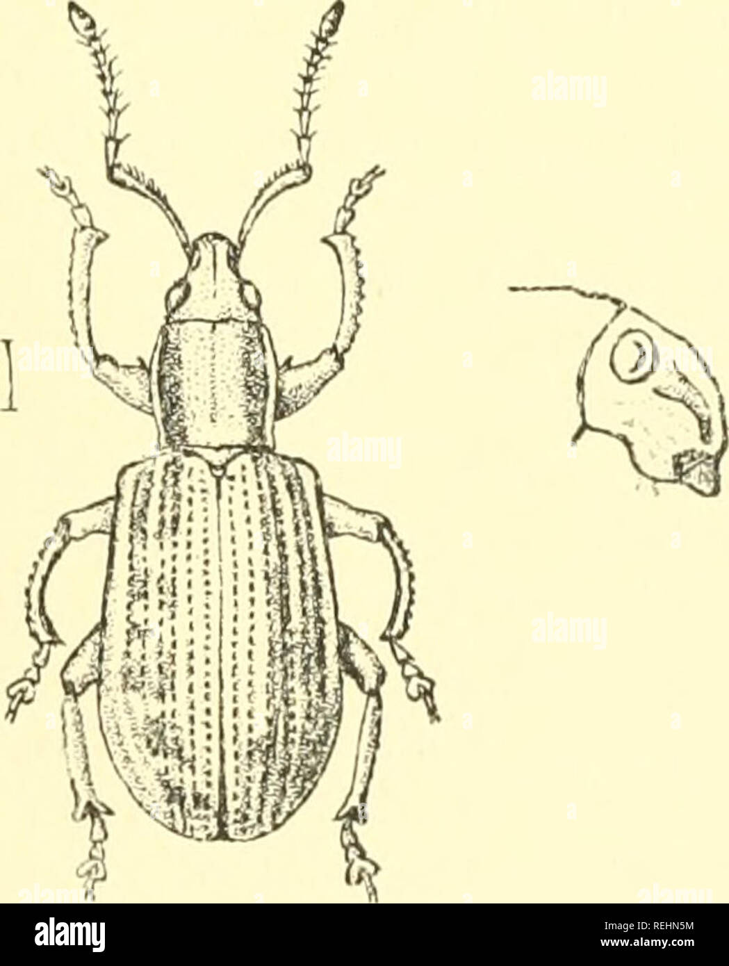 Steep declivity hi-res stock photography and images - Alamy