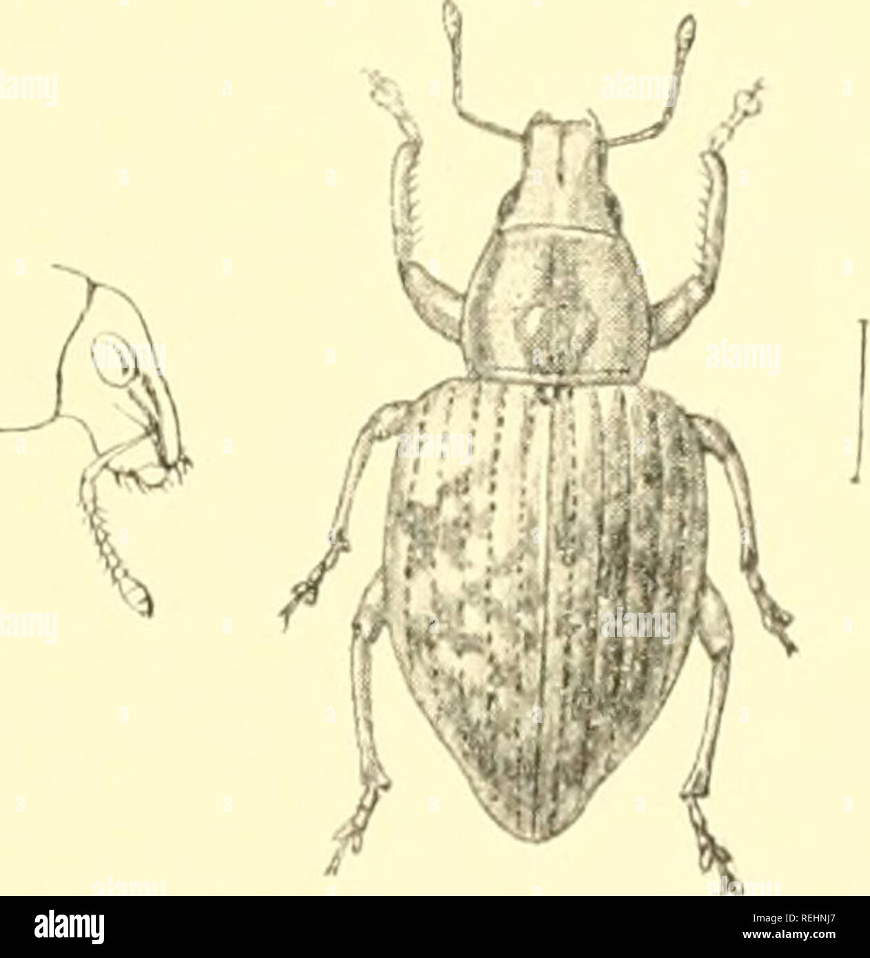 Funicle hi-res stock photography and images - Alamy