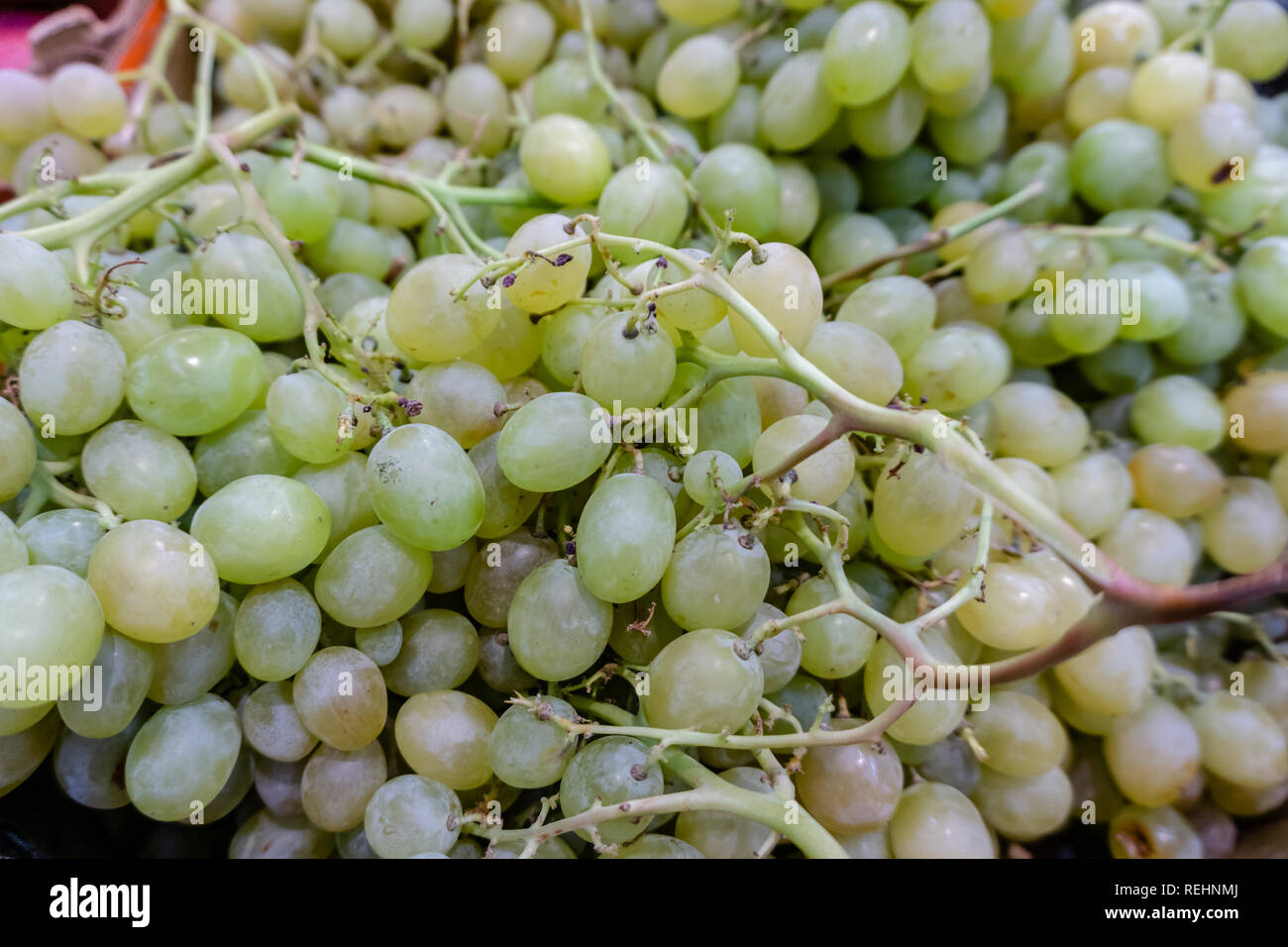 Sun-ripened green and yellow grapes in close-up Stock Photo - Alamy