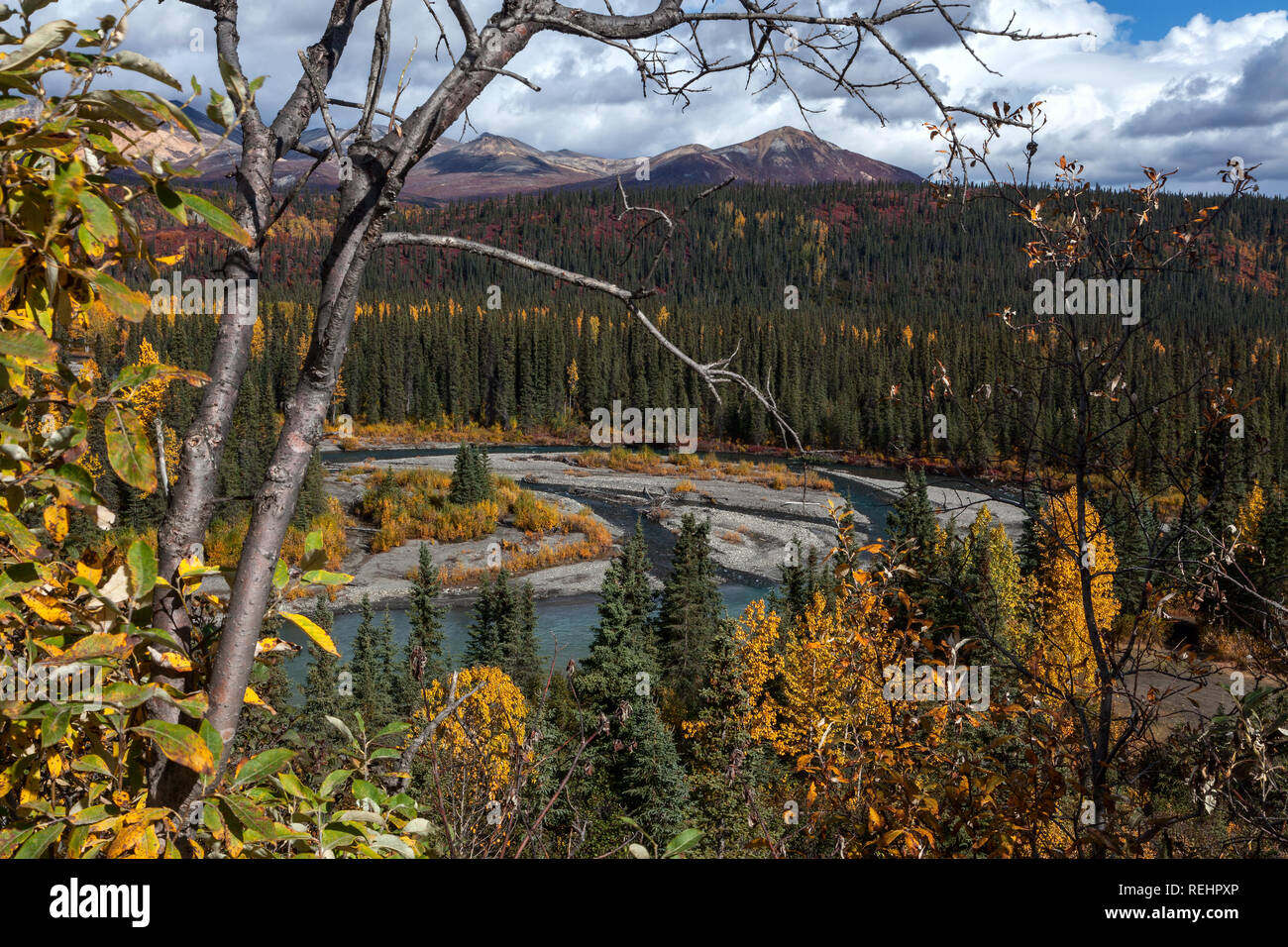 Autumn colors blanket the landscape along the Denali Highway at the ...